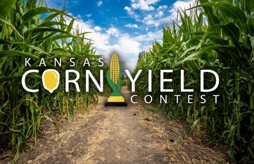 Webber Sets Record Yield in Kansas Corn Yield Contest