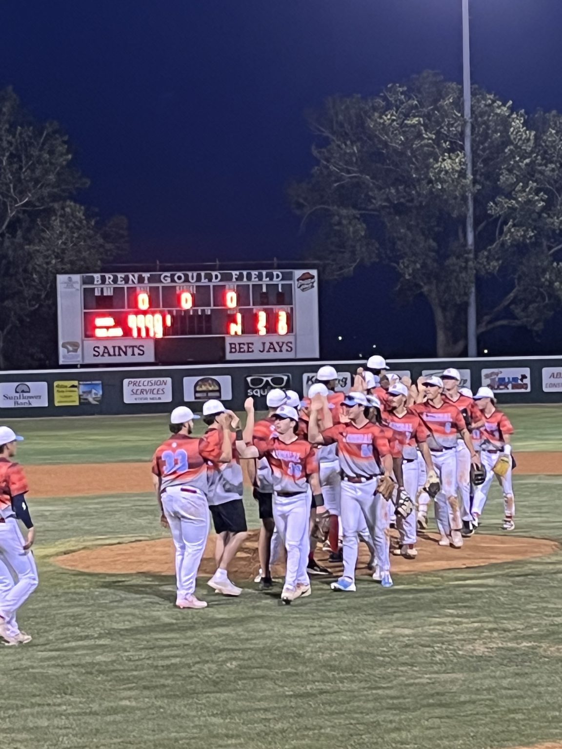 Bee Jays Walk Past Canes